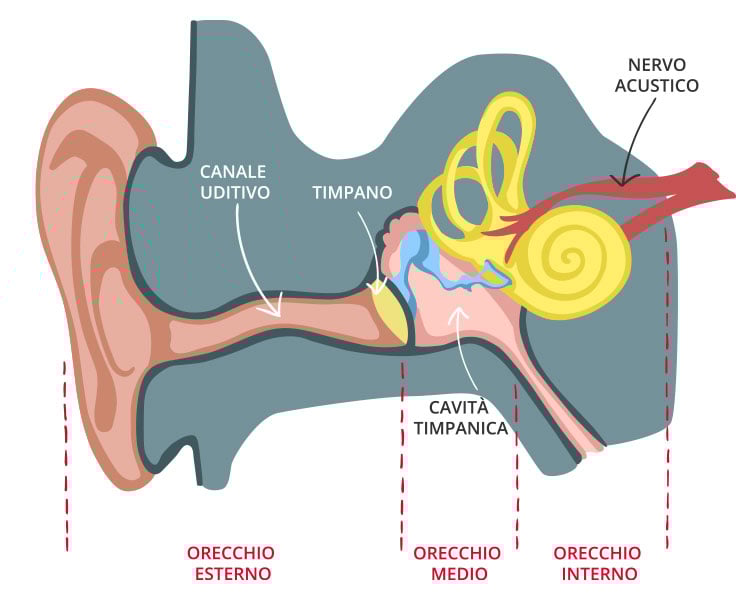 Acufeni: malattie dell'orecchio, sintomi e cause